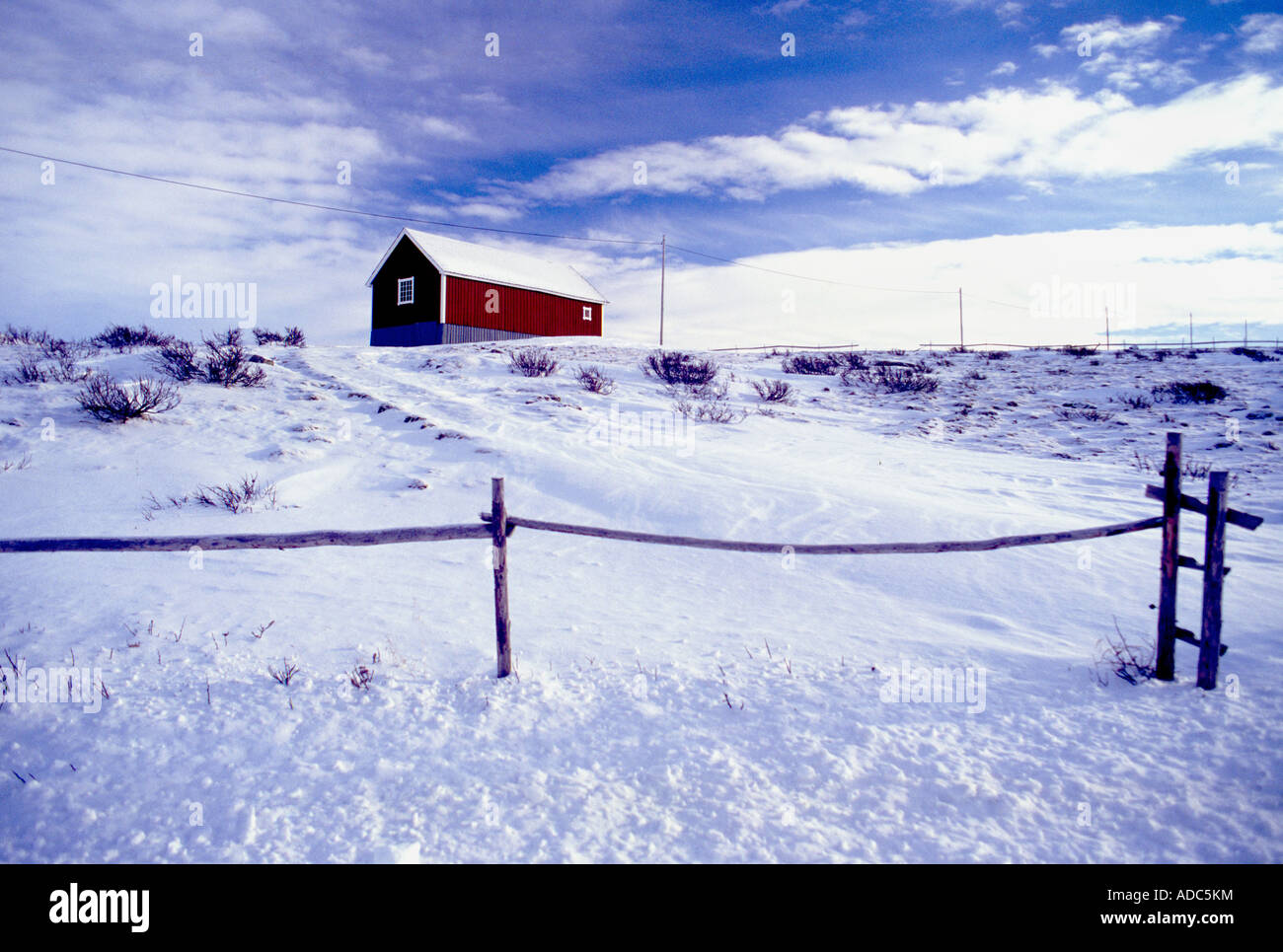 Uluru and trees Stock Photo - Alamy
