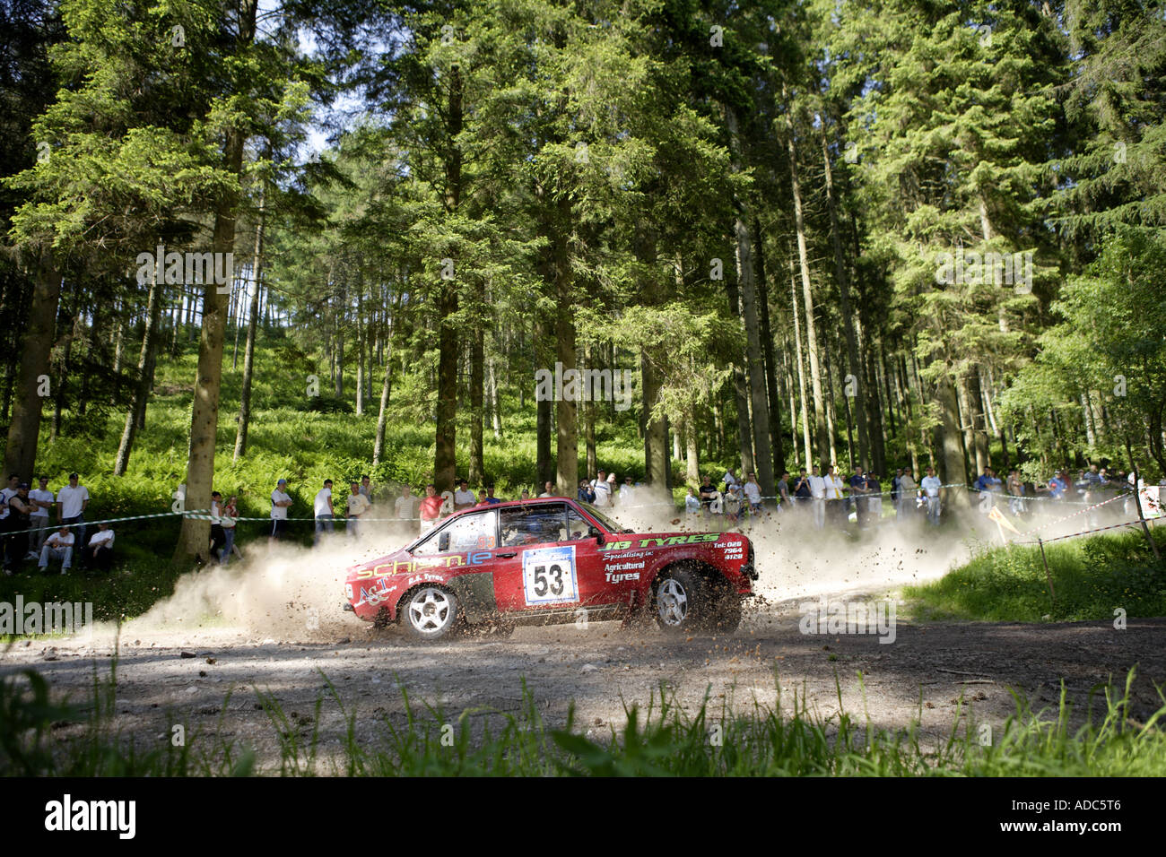 Forest of ae scotland hi-res stock photography and images - Alamy