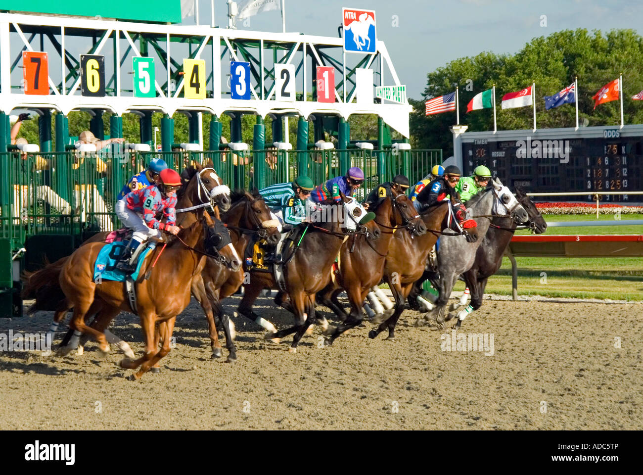 Horse racing start gate hi-res stock photography and images - Alamy