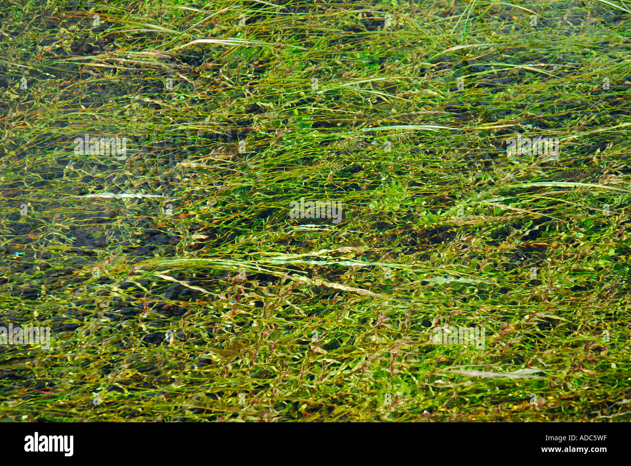 Ripple flowing water surface clear transparent covered flood hi-res ...