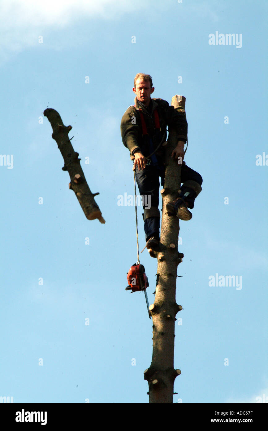 Log throws hi-res stock photography and images - Alamy