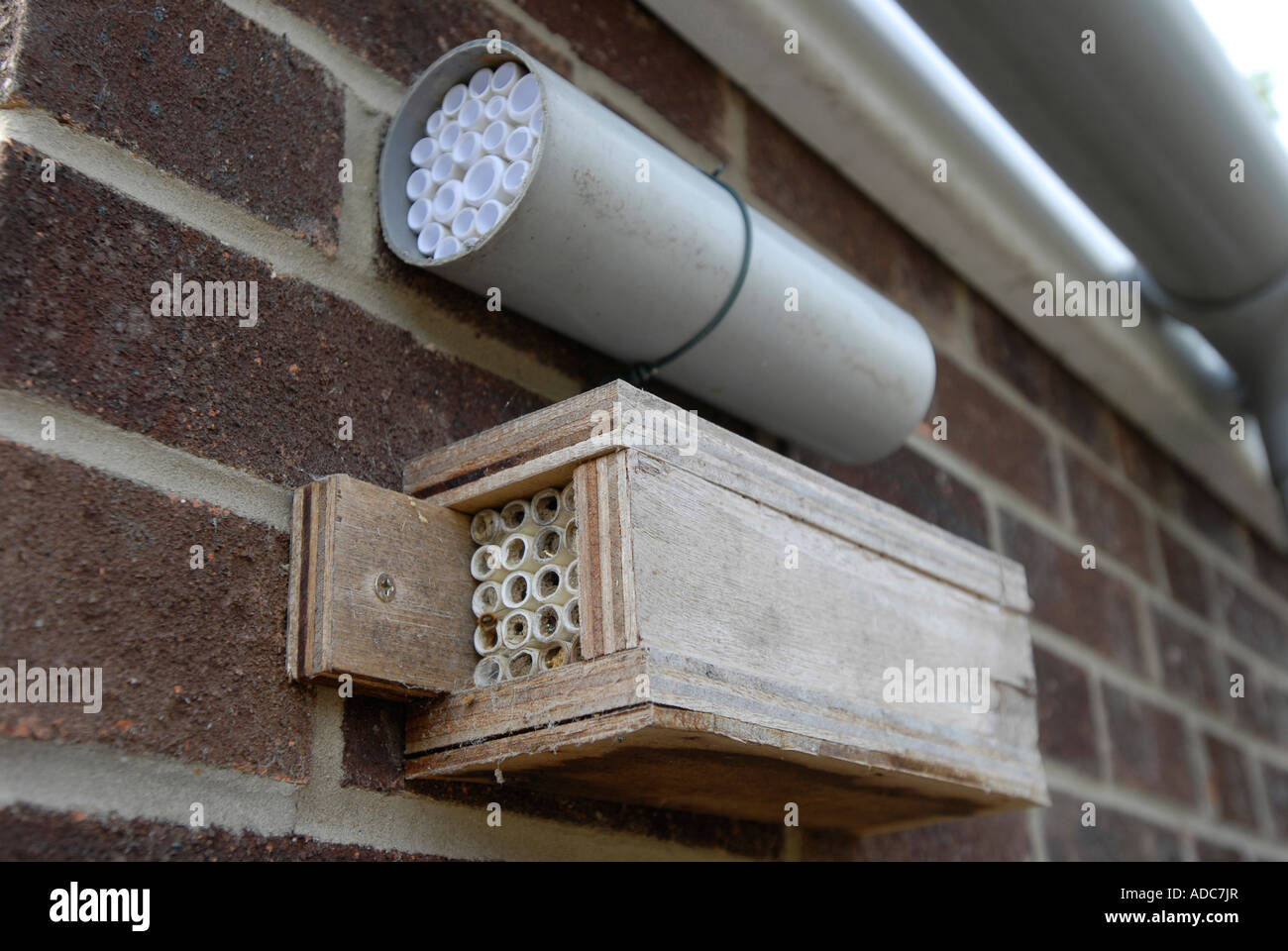 Home made bee nesters for solitary masonry bees Stock Photo - Alamy