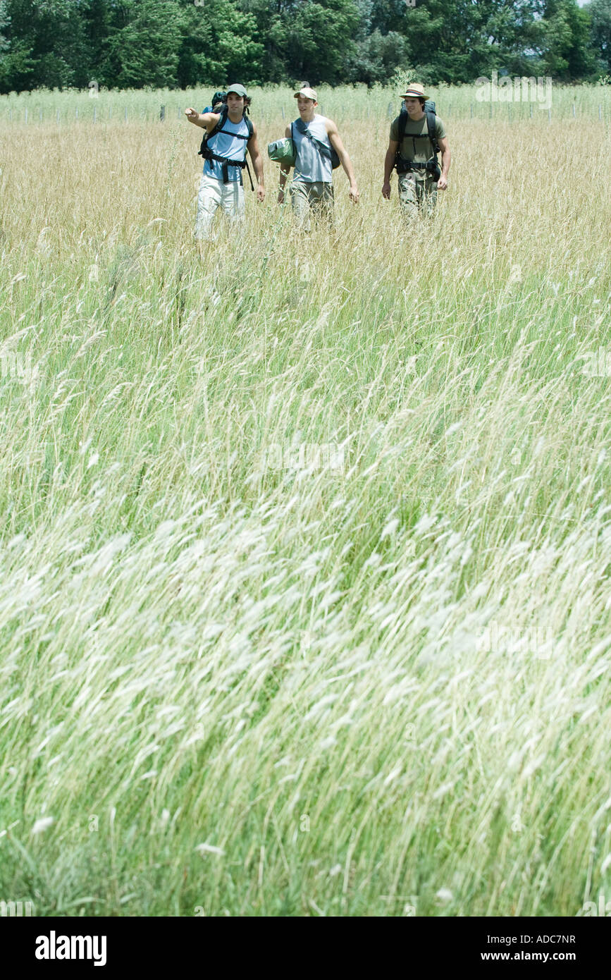 Hikers walking through field Stock Photo - Alamy