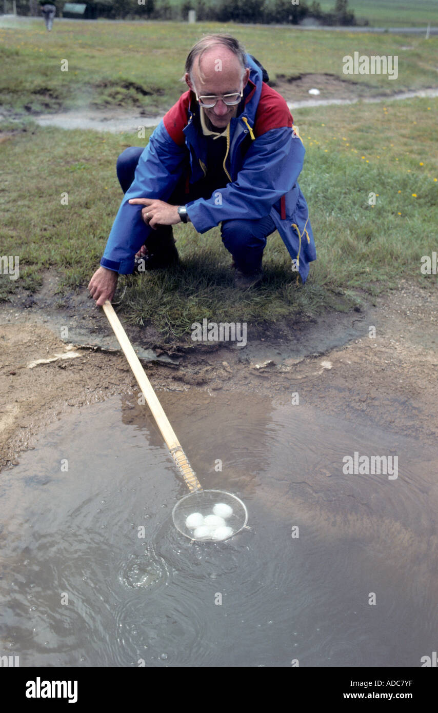 Man cooking eggs in a hot spring. Iceland Stock Photo - Alamy
