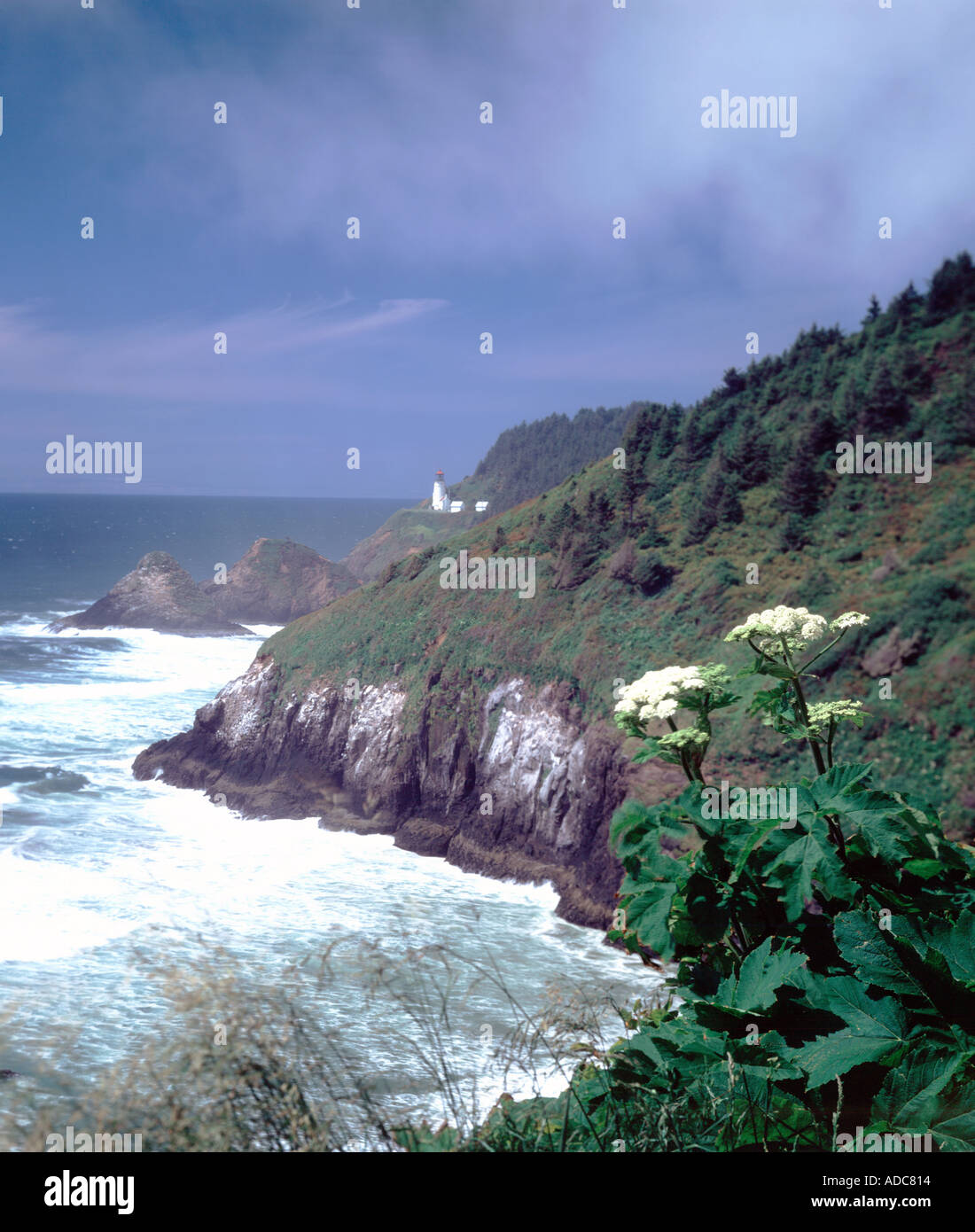 Heceta Head Lighthouse at Devils Elbow State Park on the rocky Central ...