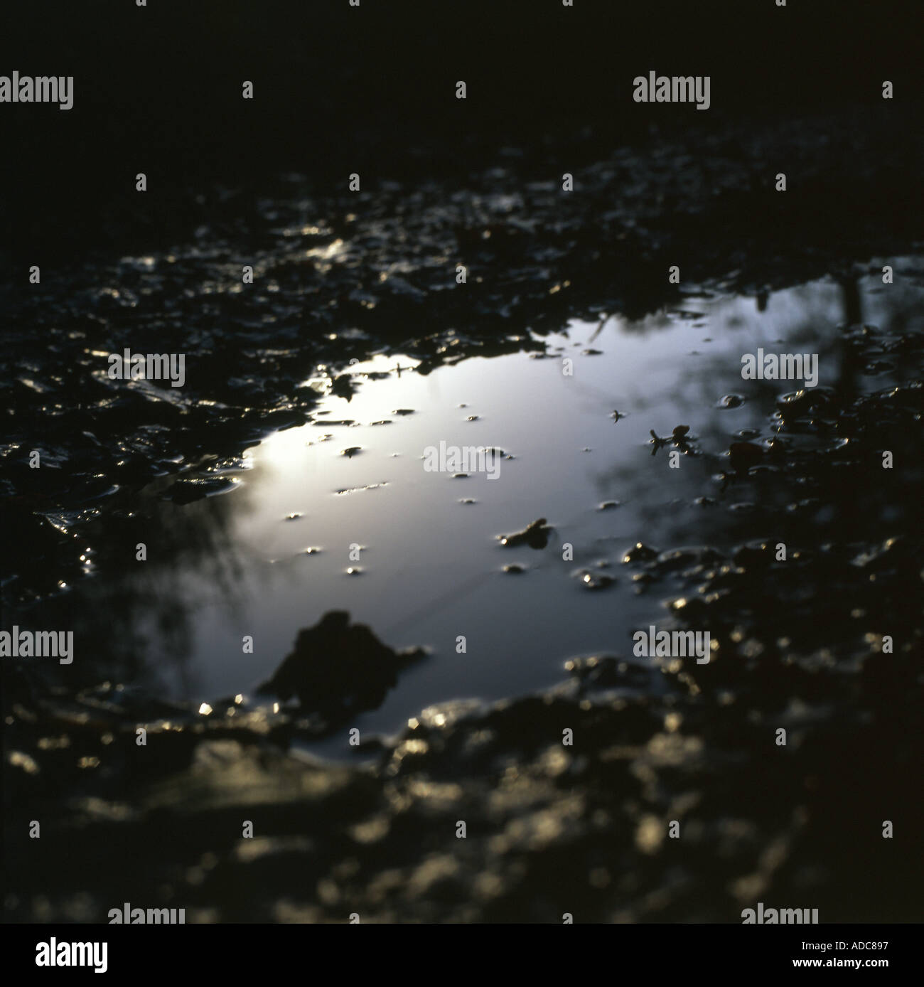 A dark black puddle of water surrounded by rough stones texture on a ...