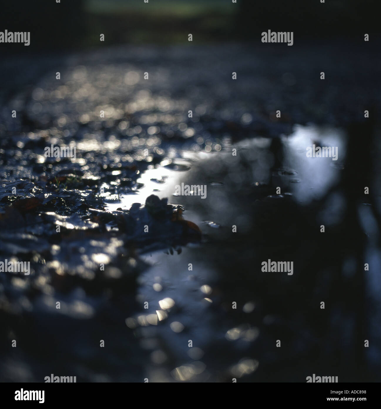 The surface of the water reflecting on the stones hi-res stock ...
