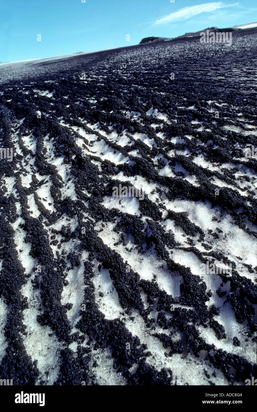 Volcanic ashes on the snow Stock Photo - Alamy