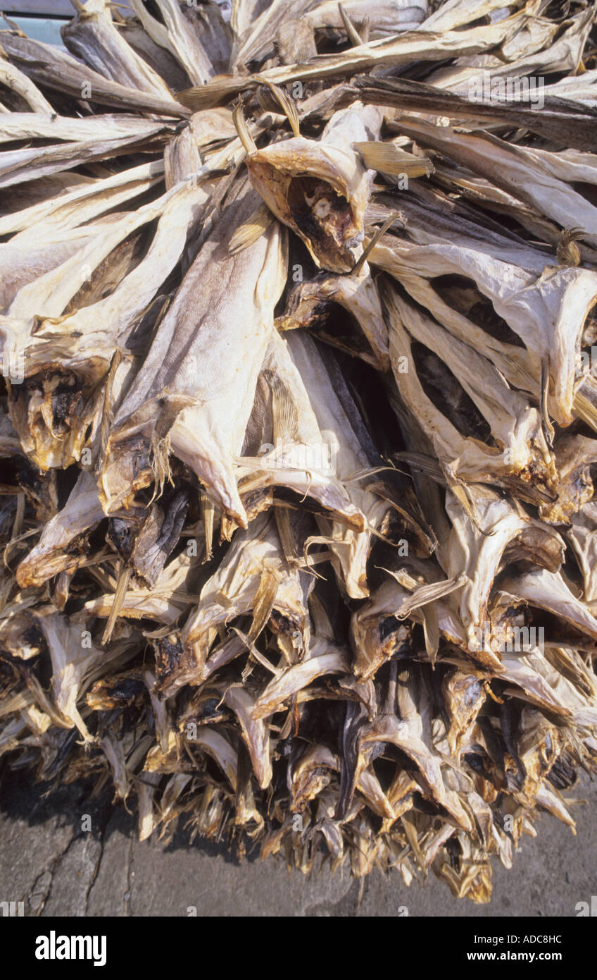 Traditional dried fish at Iceland. Detail Stock Photo - Alamy