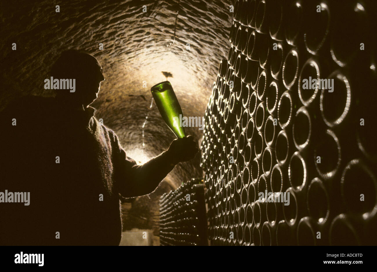 The cava-making process. Wine cellar. Wine, vine viticulture Stock ...