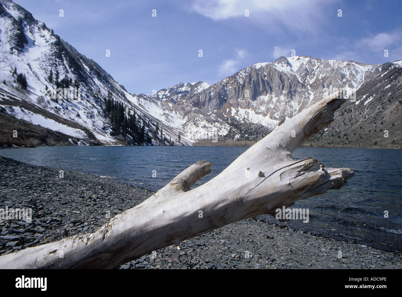 Convict Lake and Mount Laurel Inyo National Forest California Stock ...