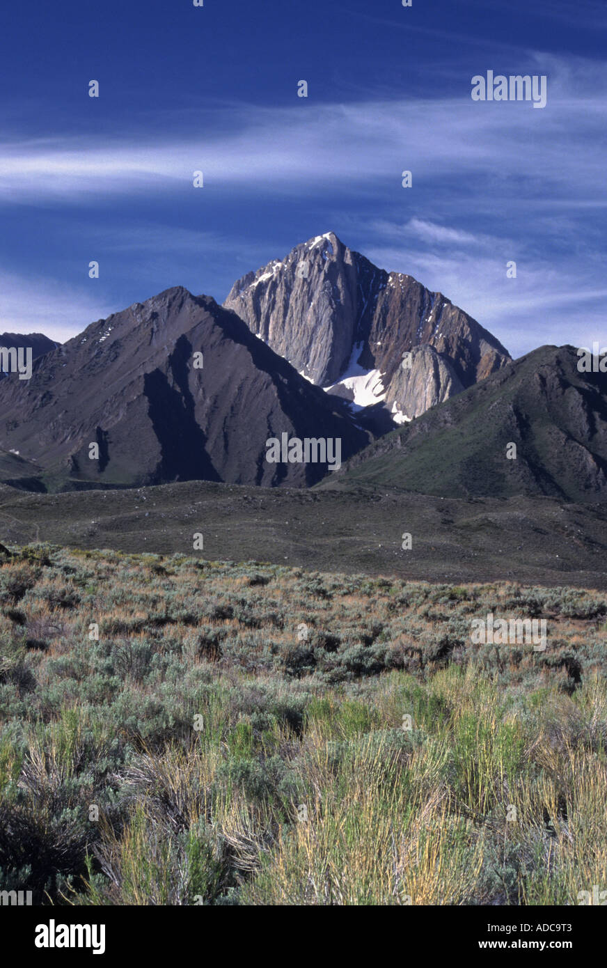 Mount Morrison and the Sherwin Range rise above sagebrush in the ...