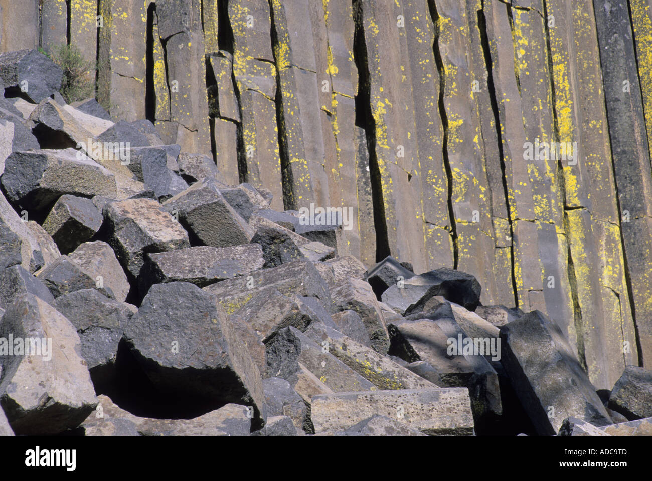 Basalt columns at Devils Postpile National Monument, California, USA ...