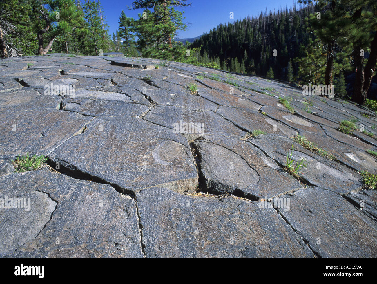 Glacially polished basalt columns Devils Postpile National Monument ...