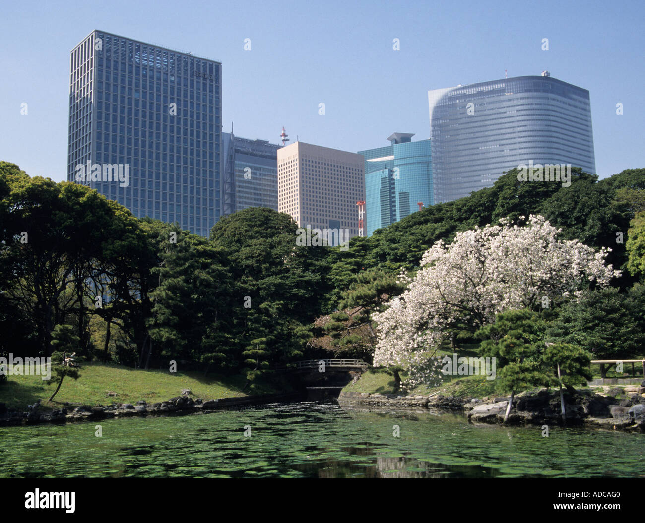 Shiori-no-ike tidal pond at Hamarikyu Garden during spring and ...