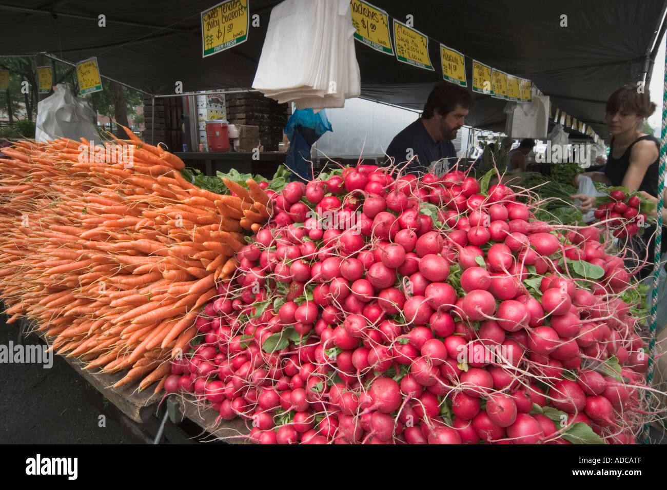 Square roots urban farm hi-res stock photography and images - Alamy