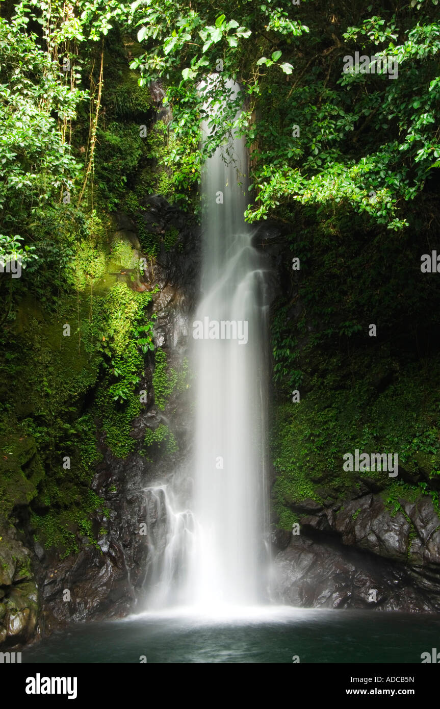 South East Luzon Bicol Mt Isarog National Park Malabsay Waterfall Stock ...