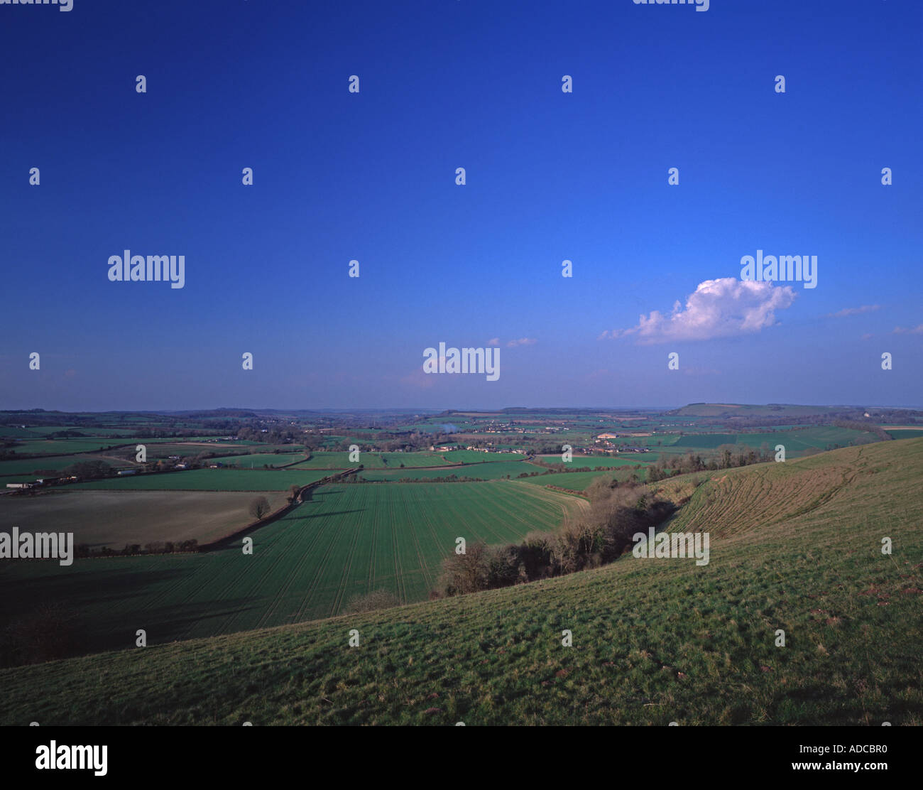 View north from Cranborne Chase, Dorset, England, UK, Europe with blue ...