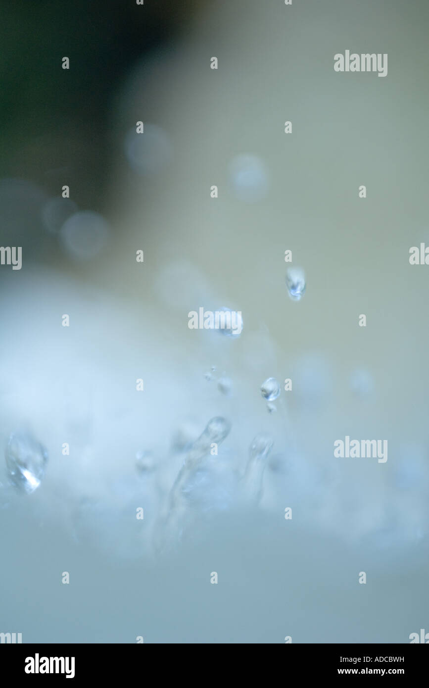 Water splashing, extreme close-up Stock Photo - Alamy
