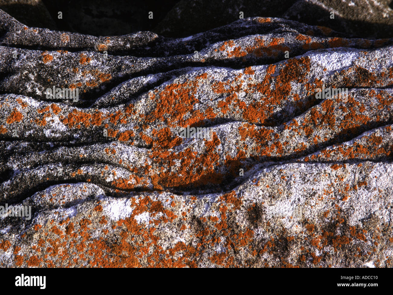 Abstract eroded rock formations covered with lichen Australia Stock ...