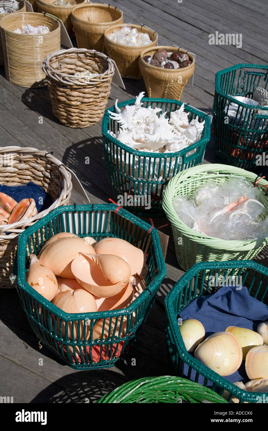 Selling seashells hi-res stock photography and images - Alamy