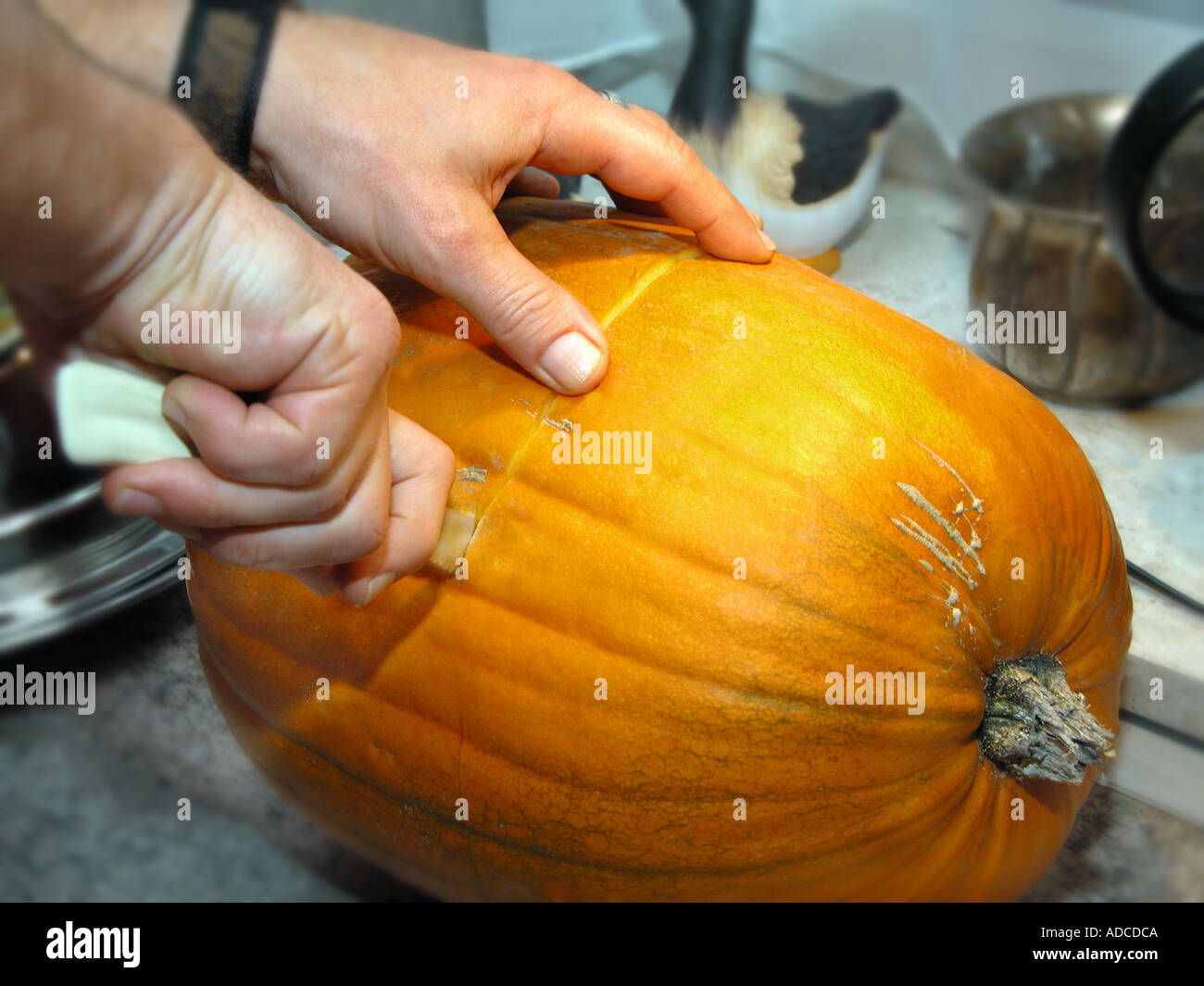 cutting the pumpkin into pieces series HOW TO COOK THE PUMPKIN SOUP ...