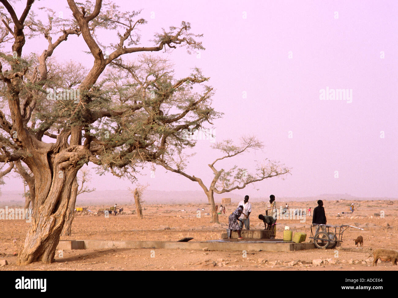 Sahel mali dry hi-res stock photography and images - Alamy