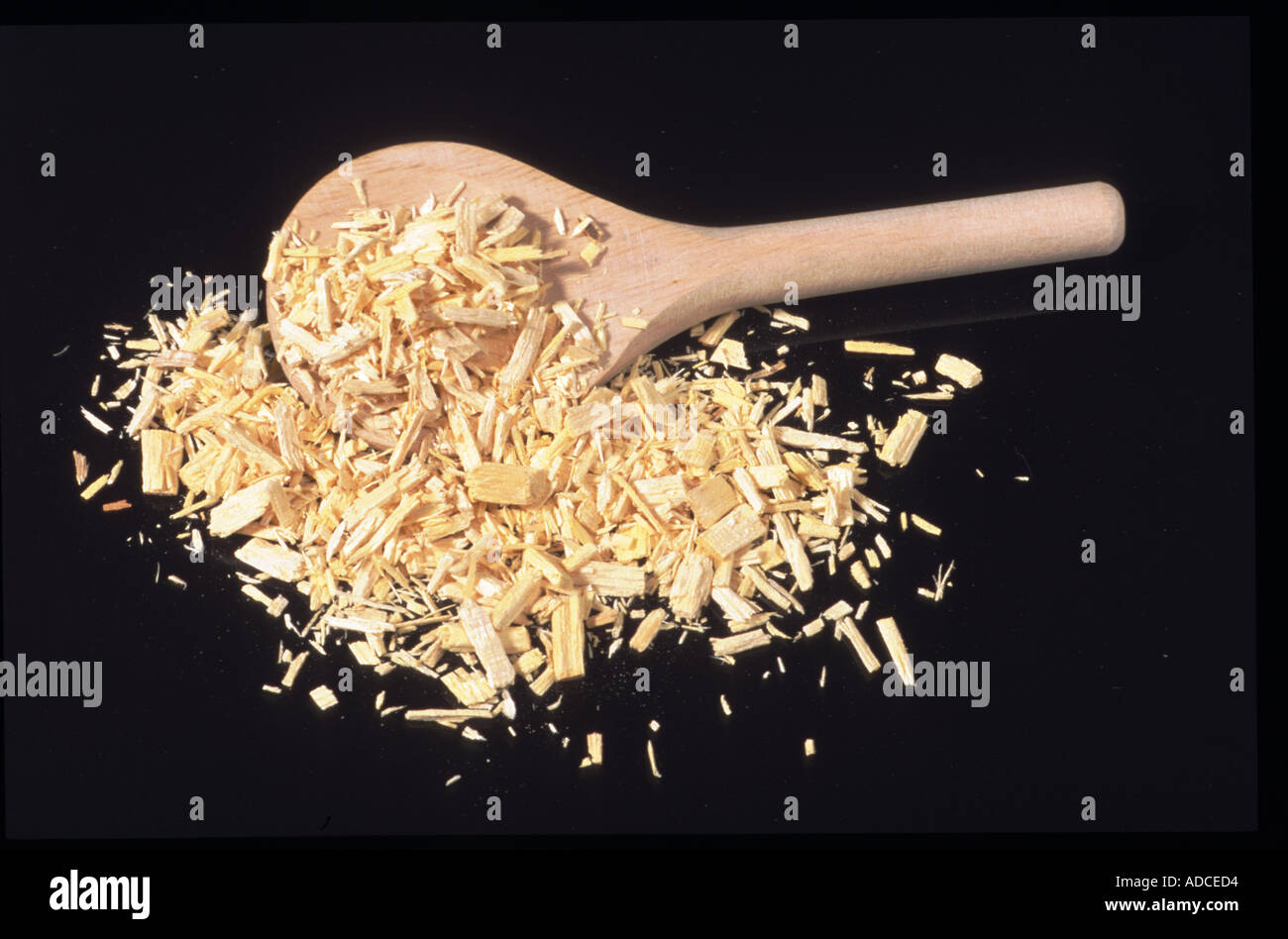 Quassia amara Bitterholz bitterwood medicinal plant Stock Photo - Alamy