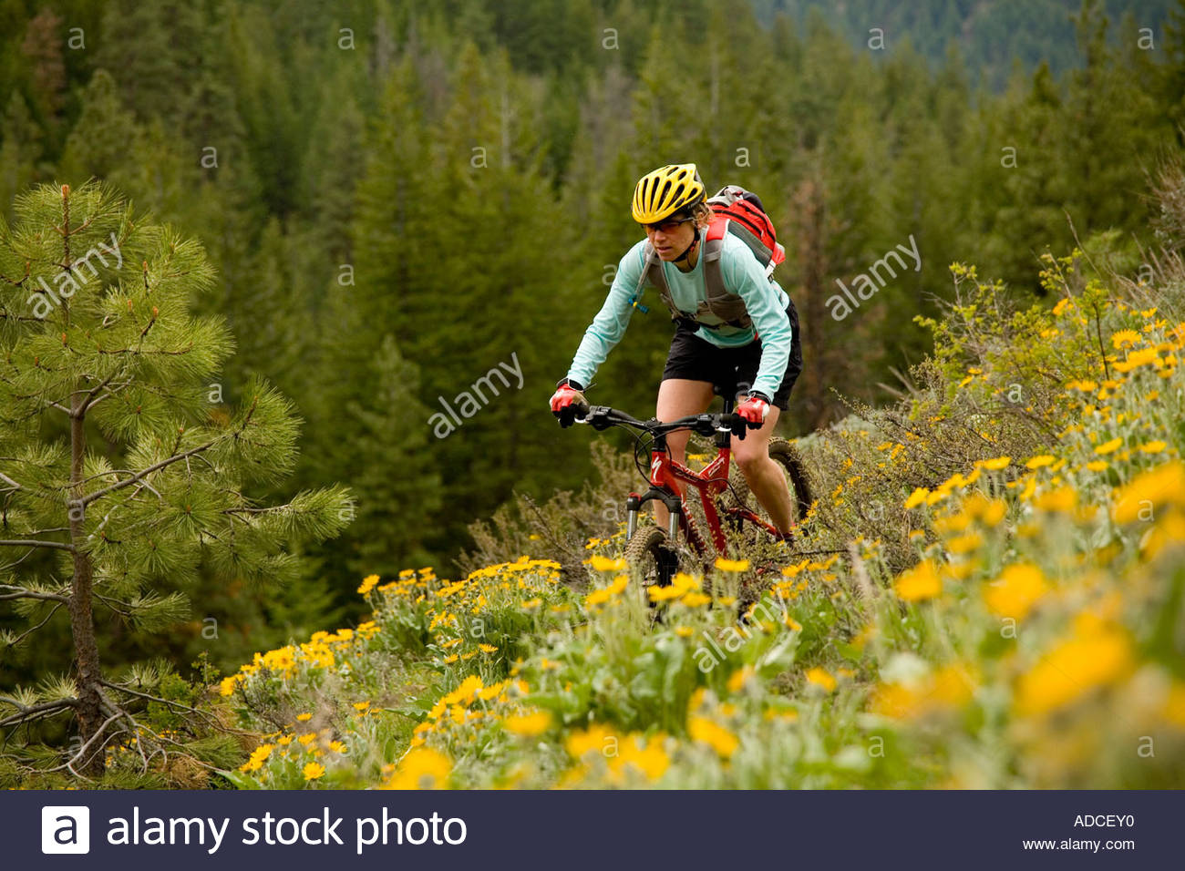 Methow Valley Stock Photos & Methow Valley Stock Images - Alamy