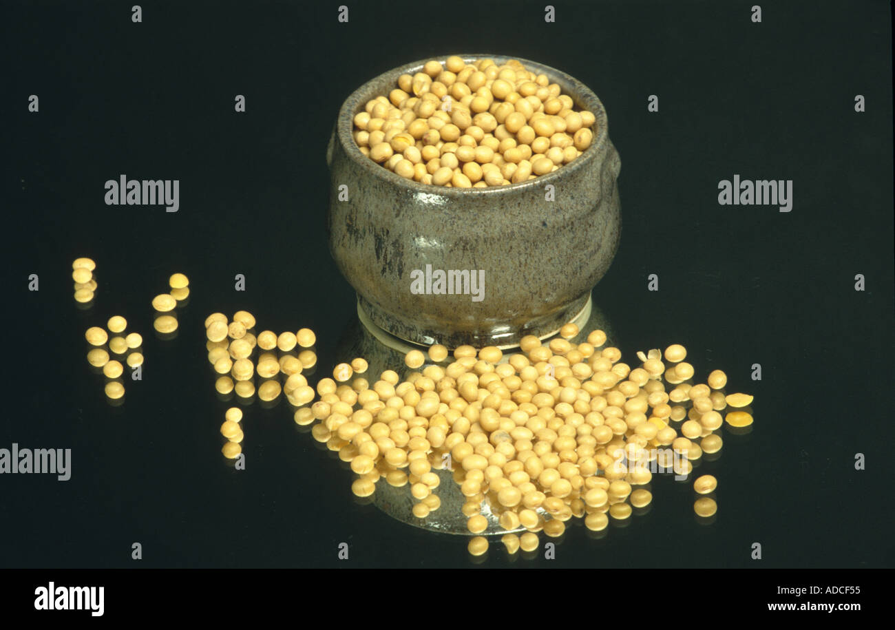 Glycine max food soybeans dry legume in a pot Stock Photo - Alamy