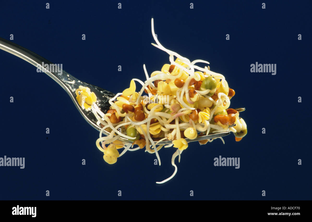 Spros hi-res stock photography and images - Alamy