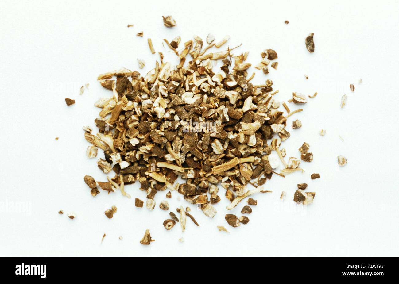 Medicinal plant Cephaelis Ipecacuanha roots Brechwurzel Stock Photo - Alamy