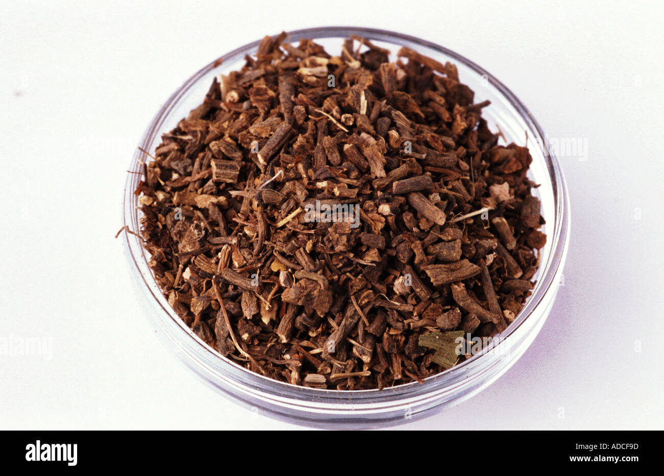 Baldrian hi-res stock photography and images - Alamy