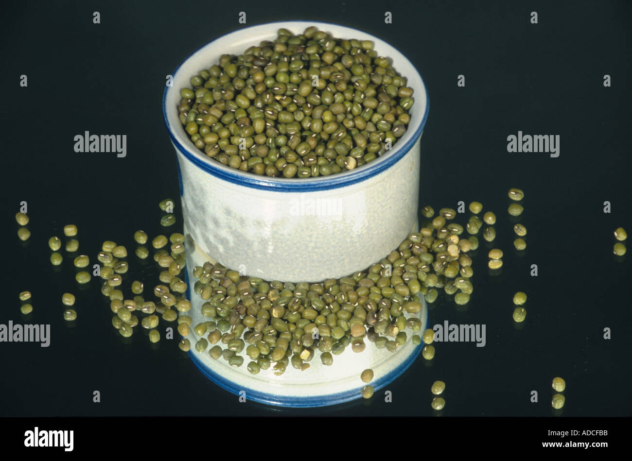 Phaseolus mungo hi-res stock photography and images - Alamy
