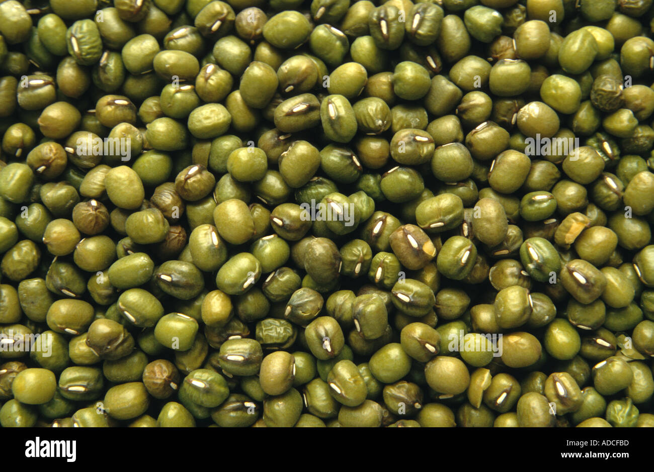 Food soja vert beans Phaseolus aureus Haricot de Mungo vegetarian food ...