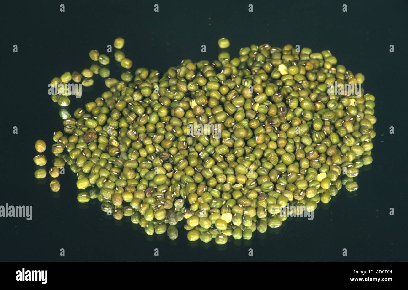 Food soja vert beans Phaseolus aureus Haricot de Mungo vegetarian food ...