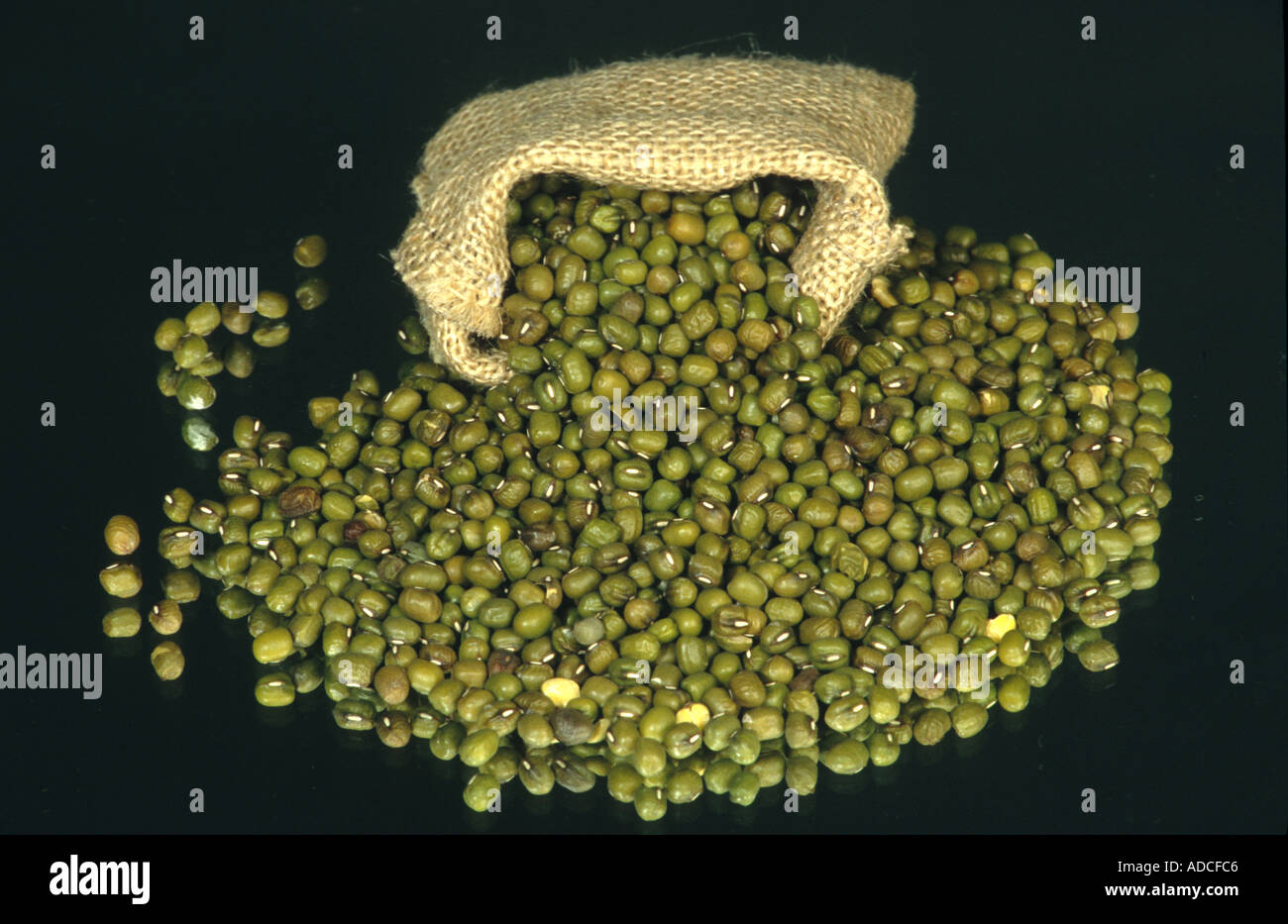 Food soja vert beans Phaseolus aureus Haricot de Mungo vegetarian food ...