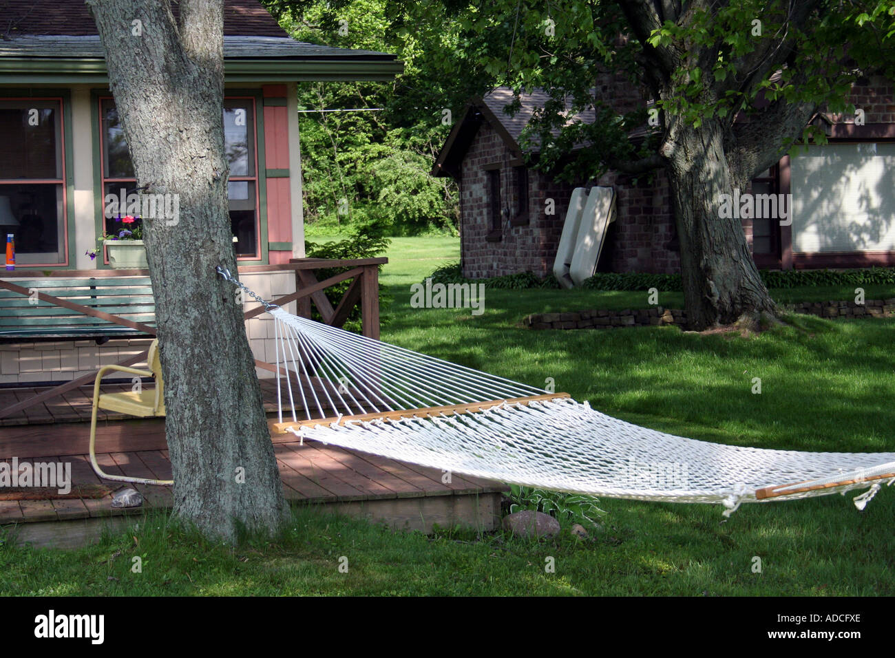 A hammock tied between two trees Stock Photo - Alamy