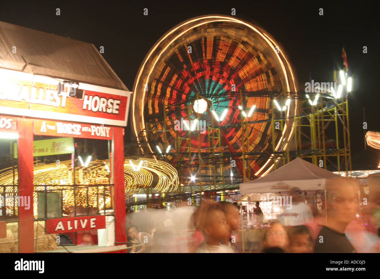 Fair with the lights of the rides and farris wheel and lights from ...