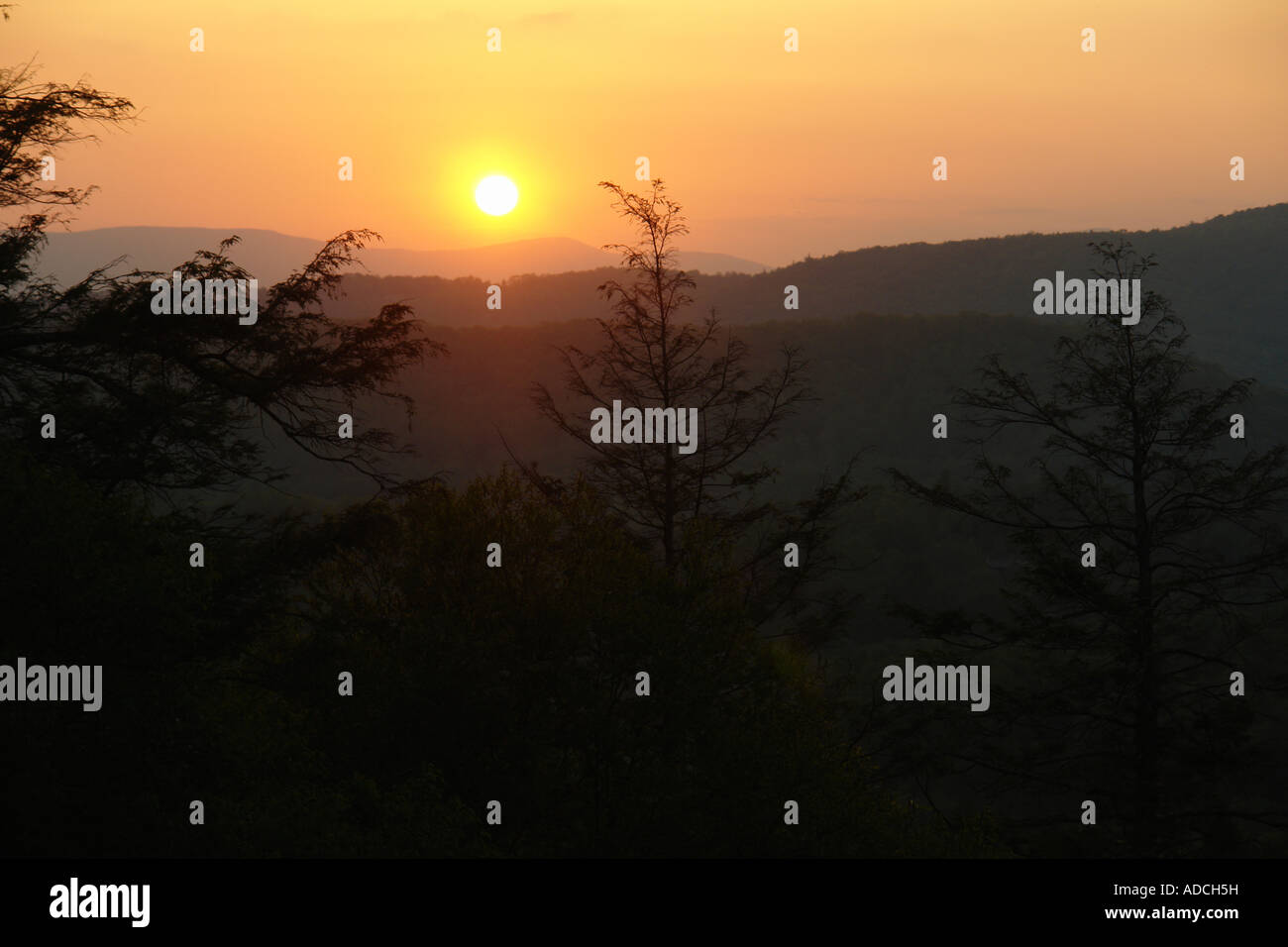 Andre boone hi-res stock photography and images - Alamy