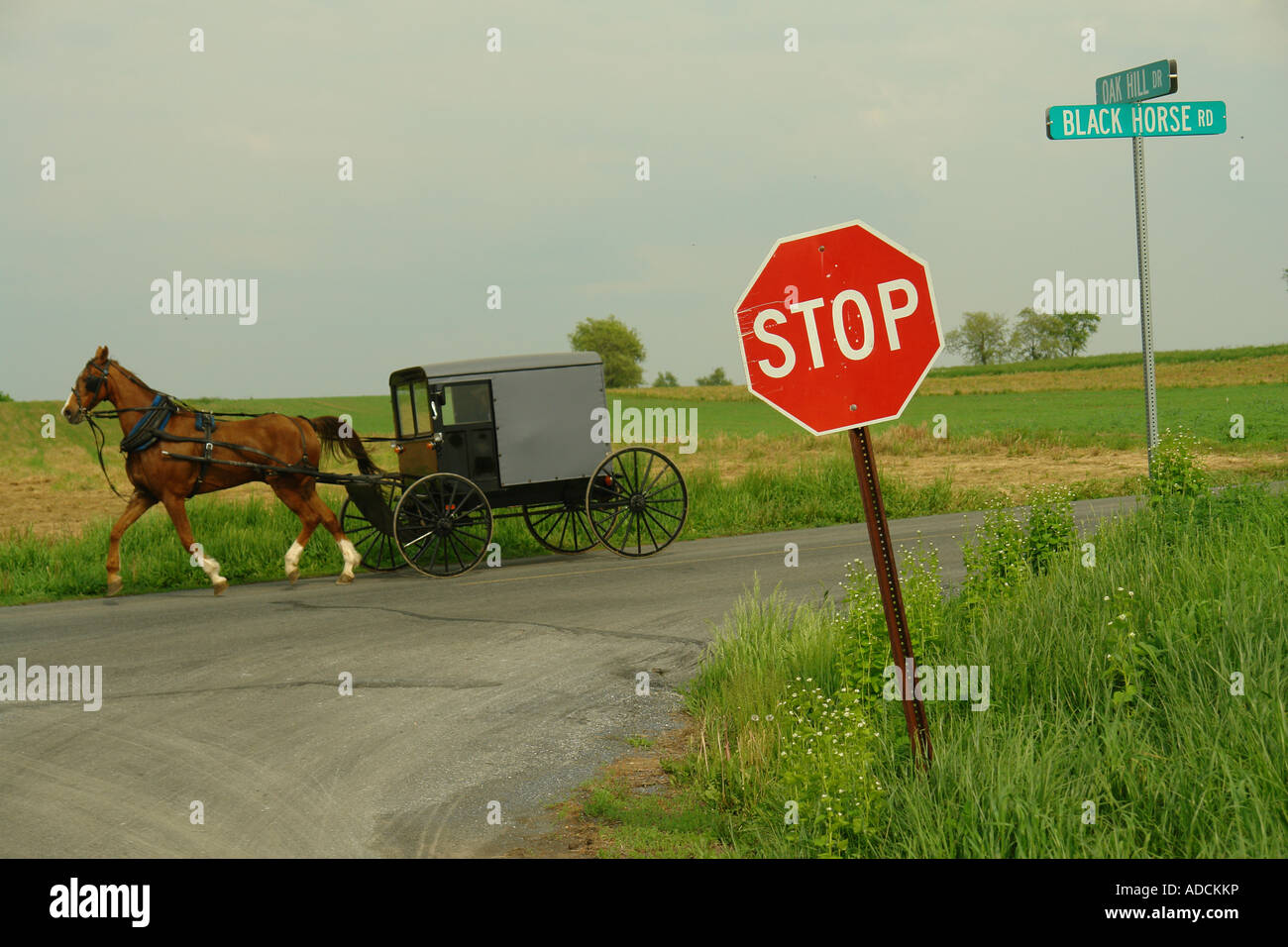 Ajd58579 hi-res stock photography and images - Alamy