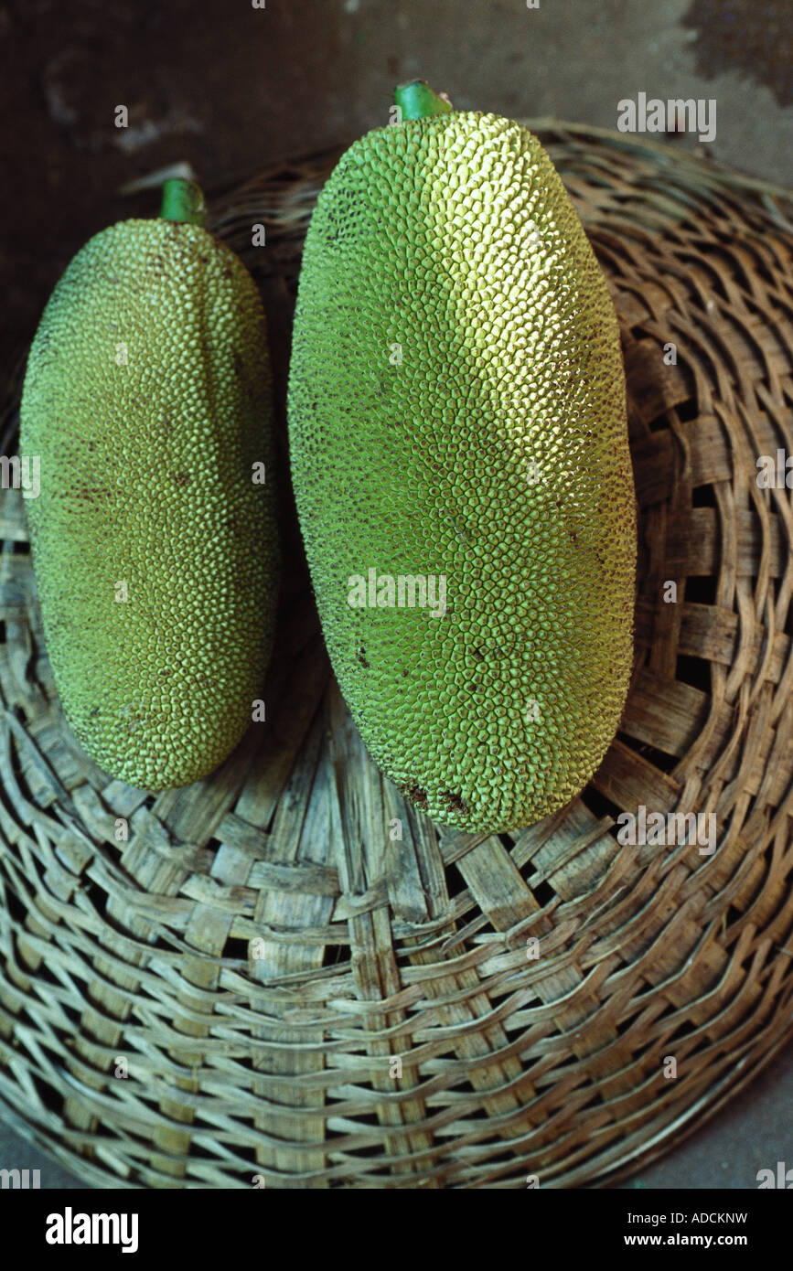 Two jackfruit hi-res stock photography and images - Alamy