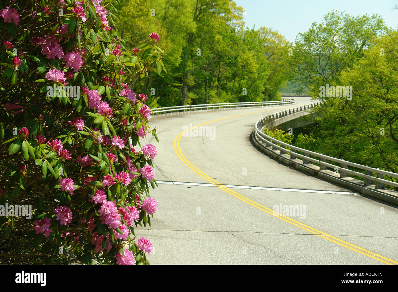 AJD58616, Boone, Blue Ridge Parkway, NC, North Carolina, Blue Ridge ...