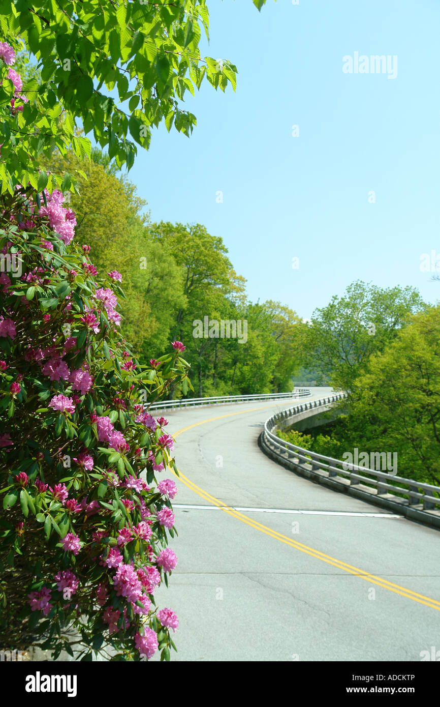 AJD58617, Boone, Blue Ridge Parkway, NC, North Carolina, Blue Ridge ...