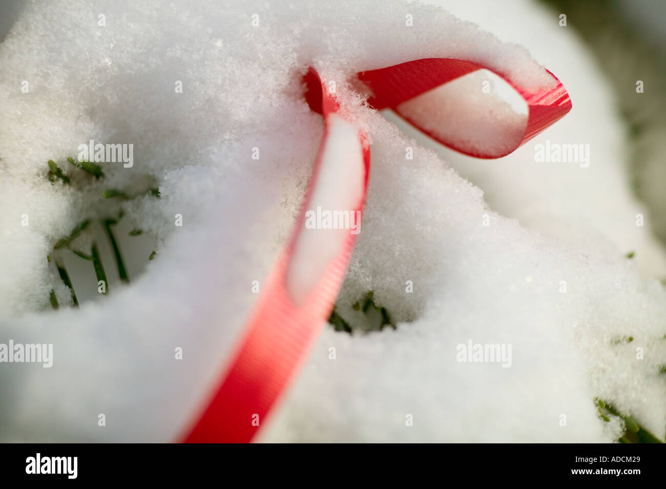 Dave jolly hi-res stock photography and images - Alamy