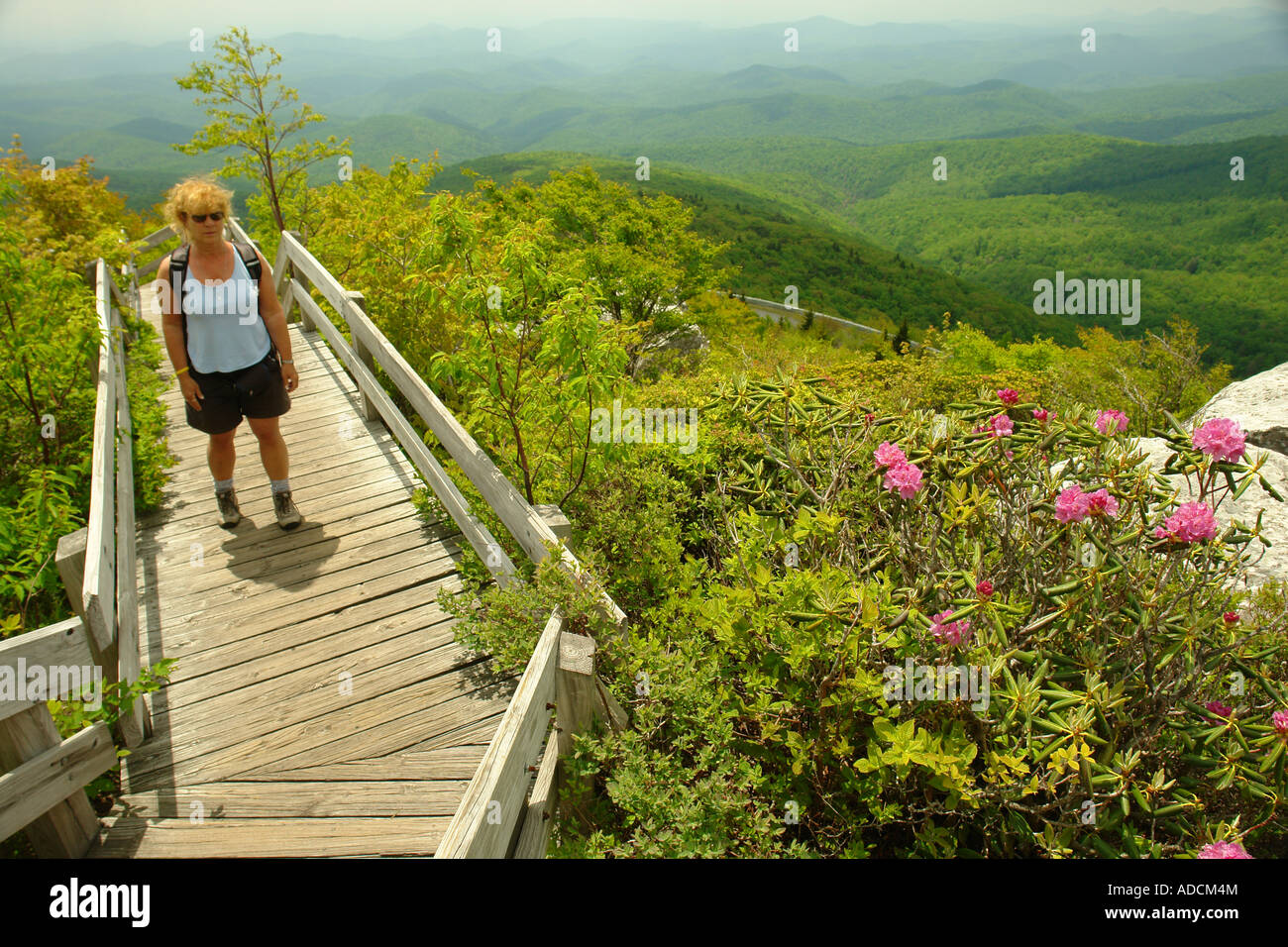 AJD58678, Blue Ridge Parkway, Boone, NC, North Carolina, Blue Ridge ...