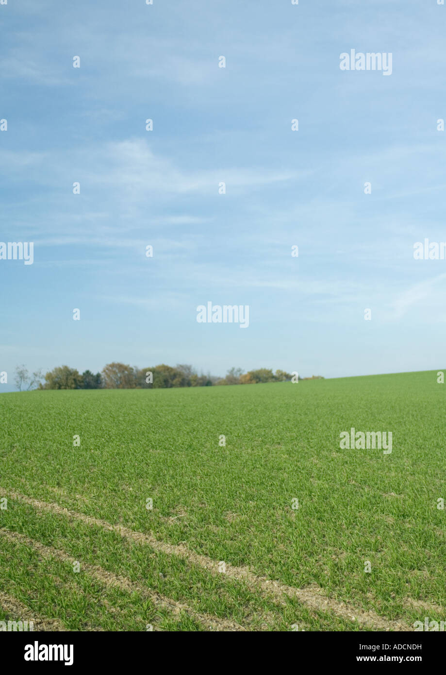 Natures green pastures hi-res stock photography and images - Alamy