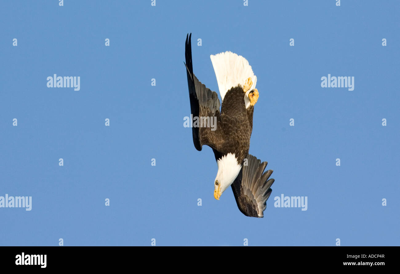 Bombs away hi-res stock photography and images - Alamy