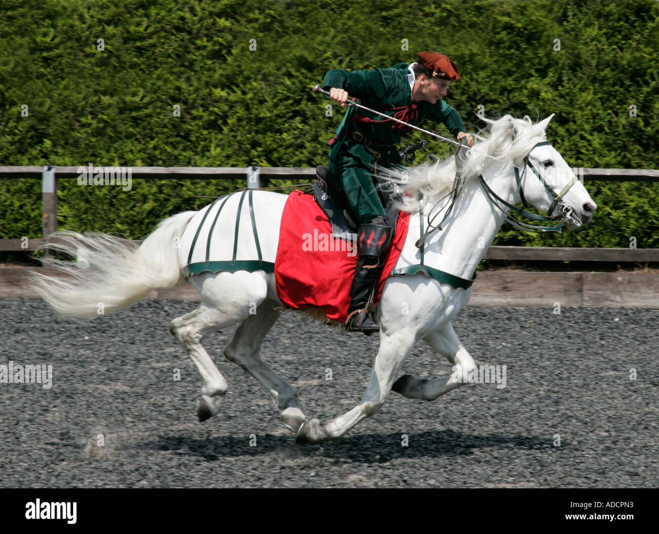 Medieval knight galloping his horse trooper action cavalryman horseman ...