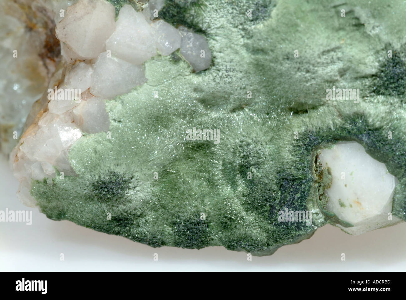 Mineral Olivenite, Velvety olivenite on quartz, Wheal Gorland, Gwennap ...